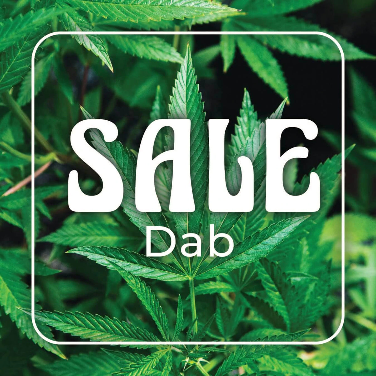 Dab Gear on Sale - Quartz Bangers, Bundles | Ritual Colorado